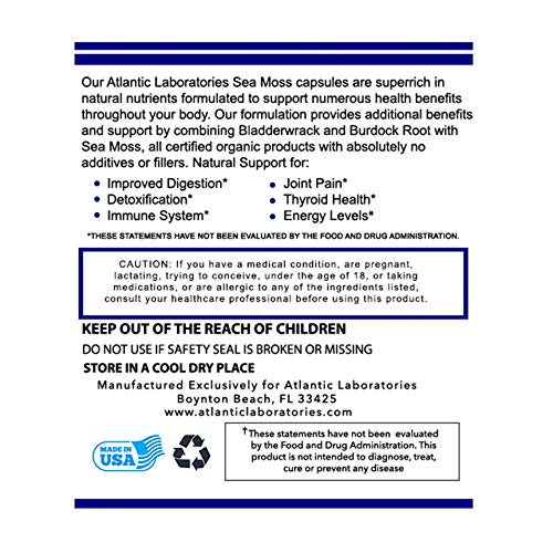 sea moss capsules for daily nutrition