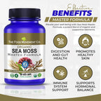 Sea moss capsules for digestion