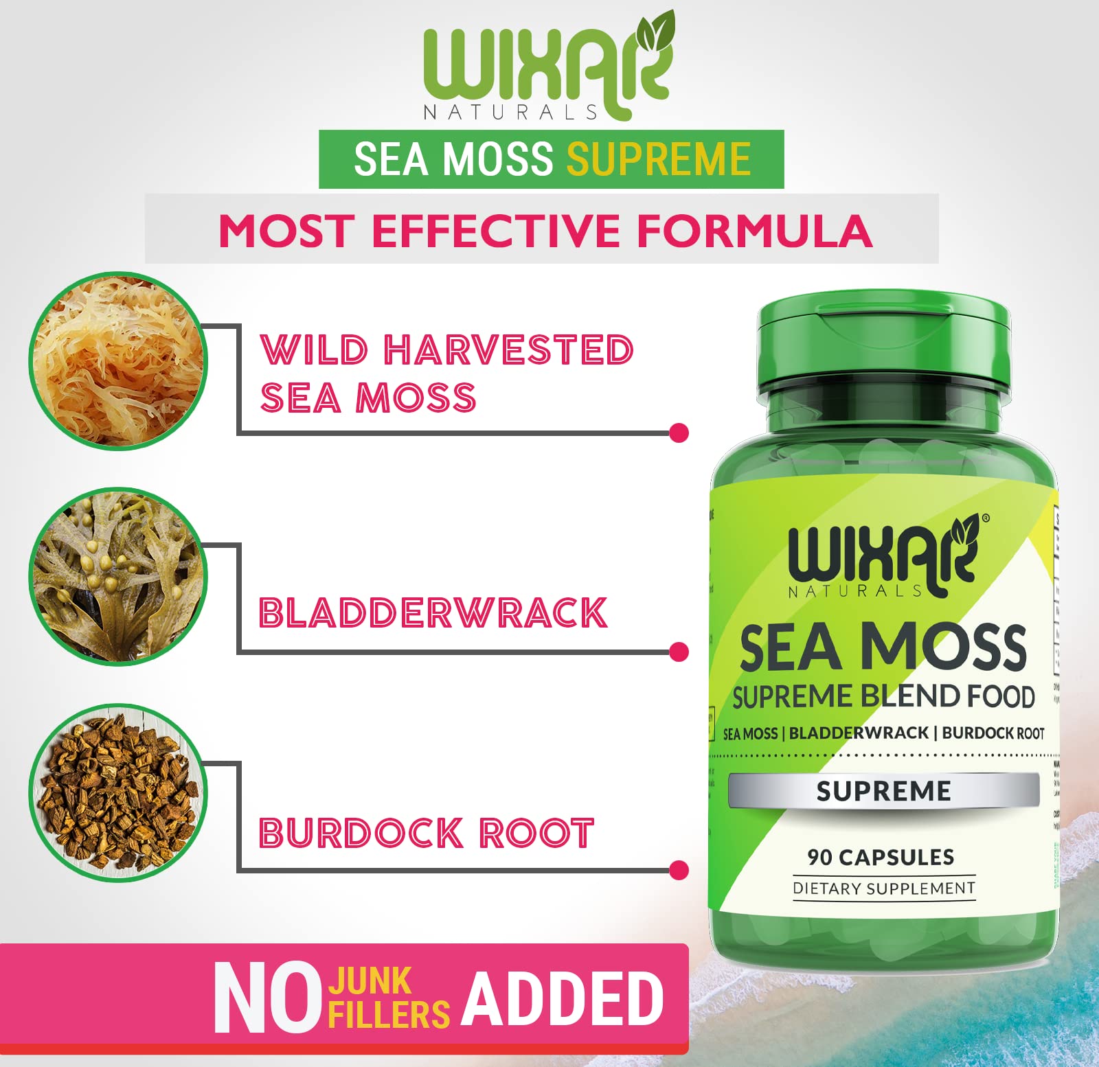 sea moss capsules for digestive health