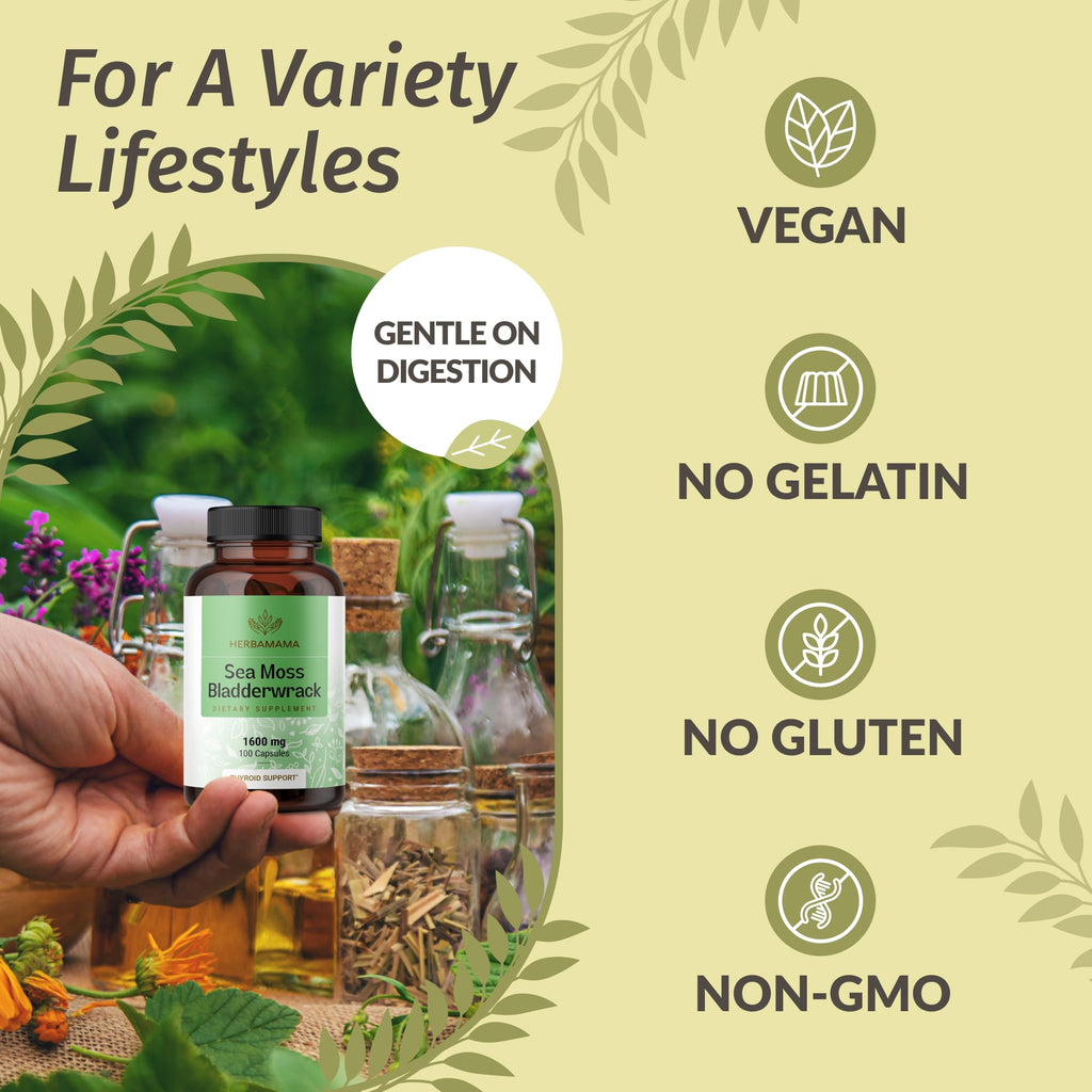 Sea moss capsules for digestive health