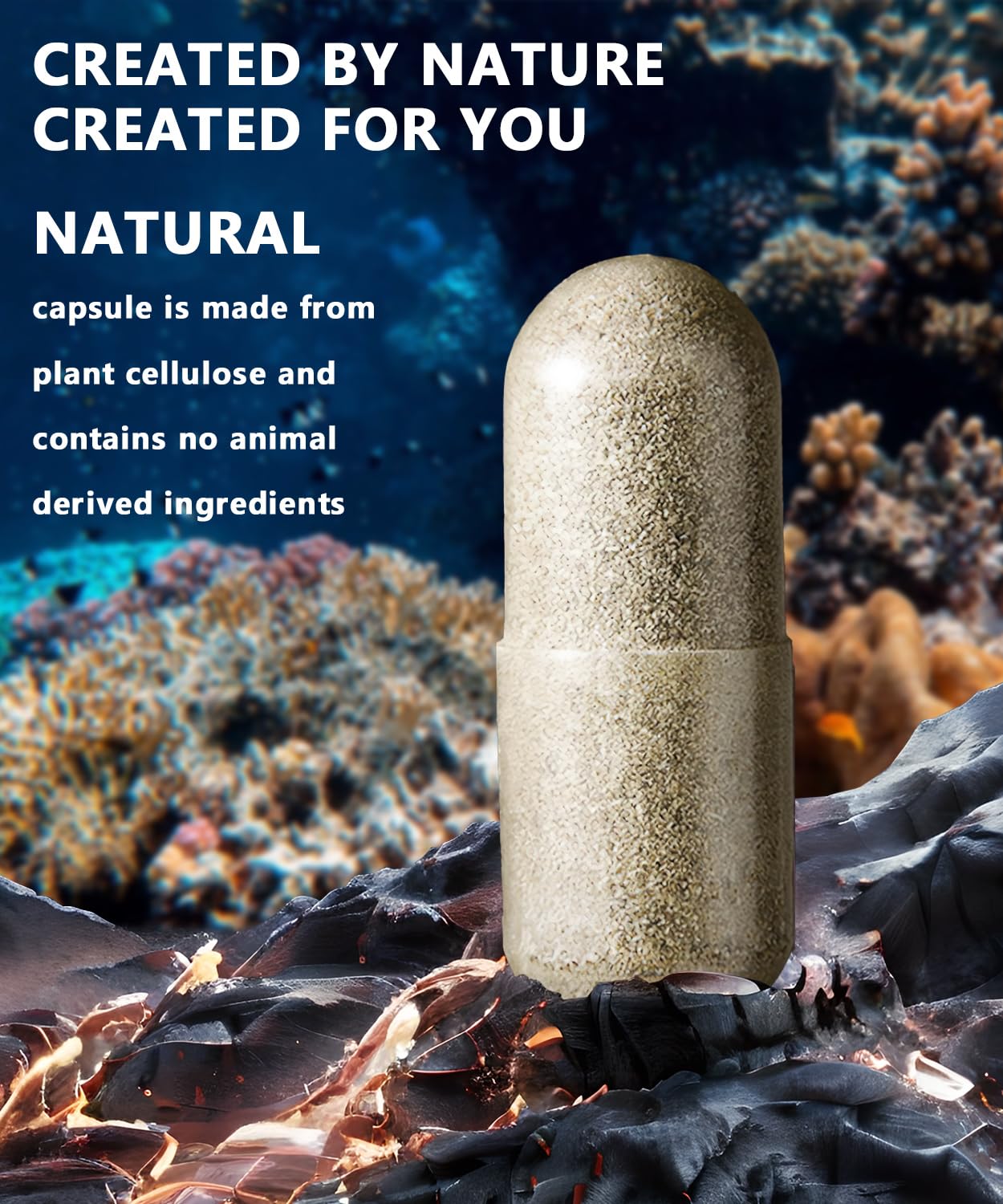 sea moss capsules for digestive support