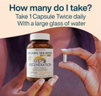 sea moss capsules for energy boost