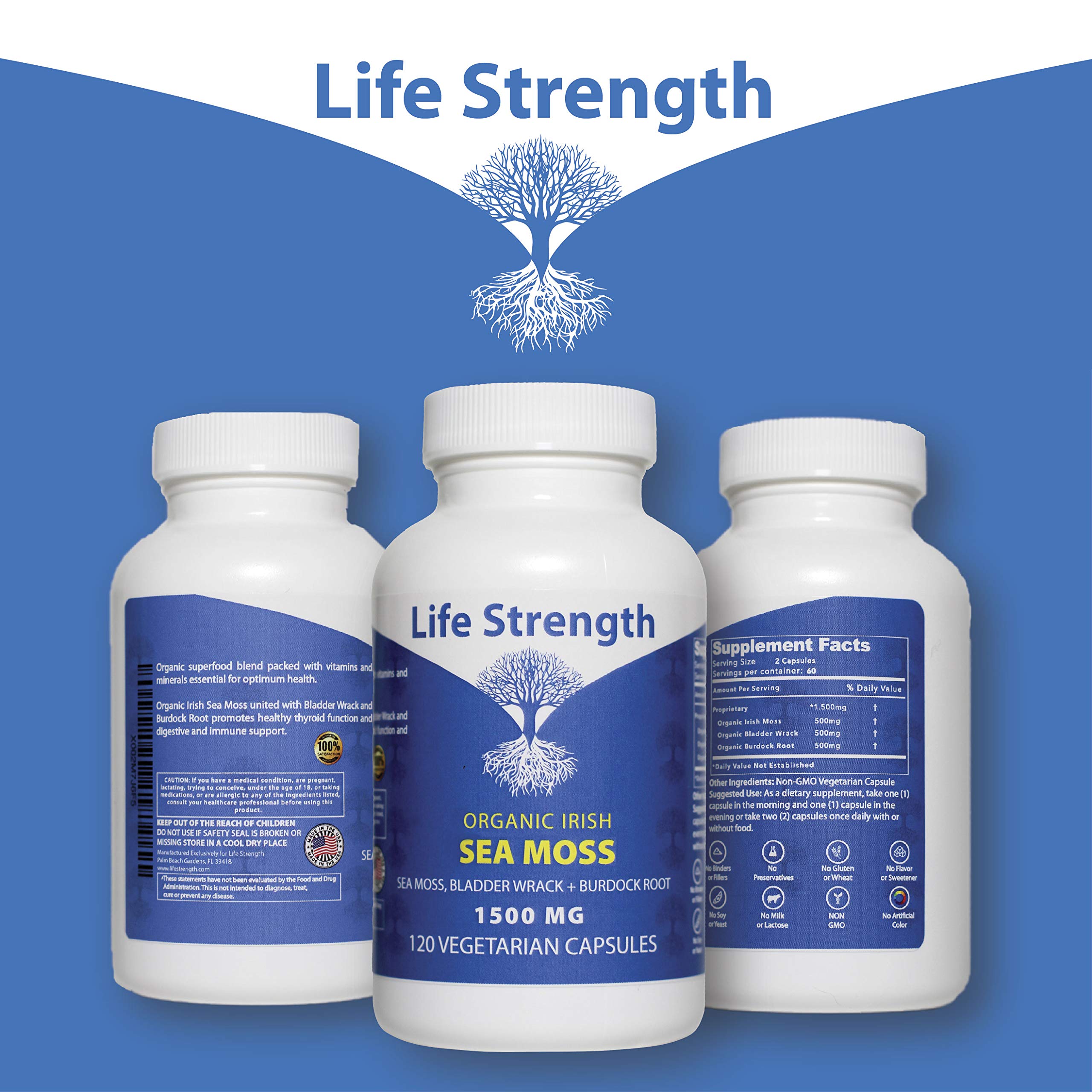 sea moss capsules for energy boost