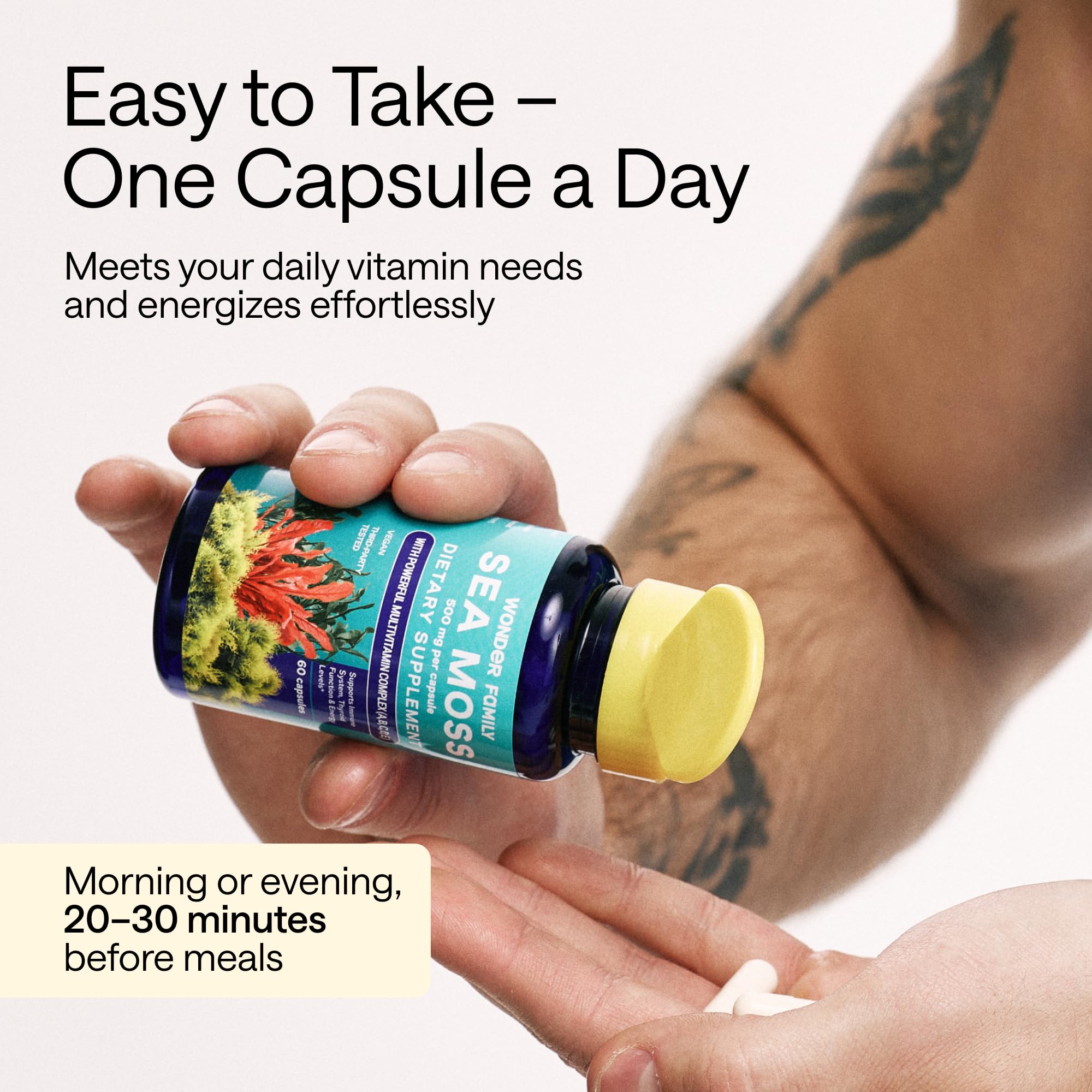 sea moss capsules for energy