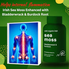 sea moss capsules for immune support