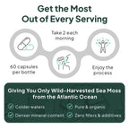 sea moss capsules for immunity
