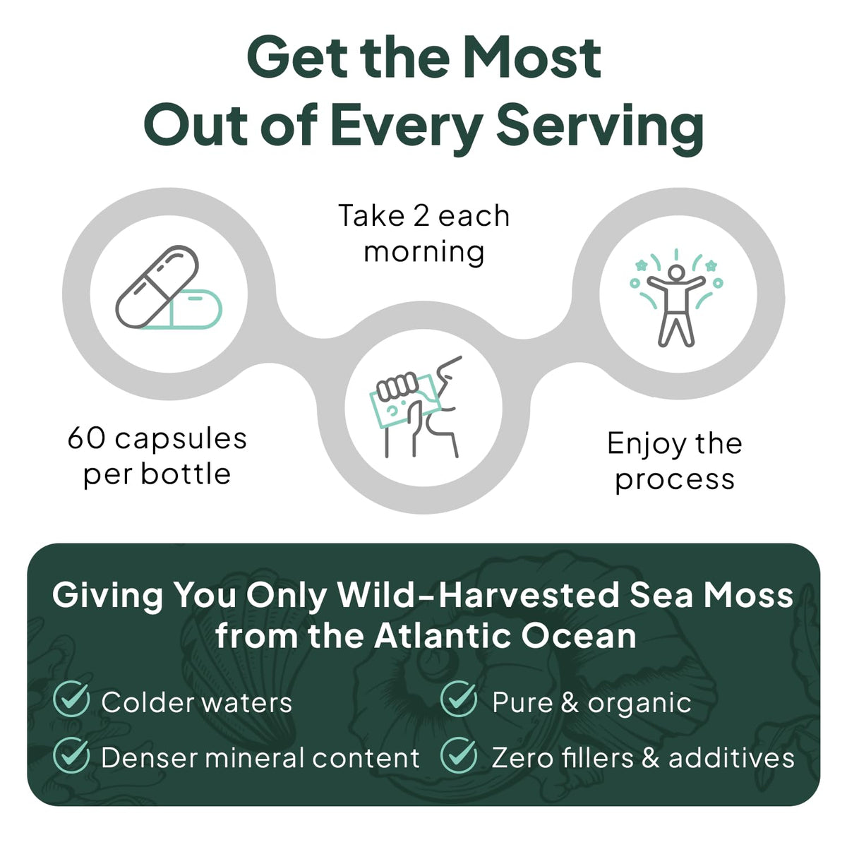 sea moss capsules for immunity