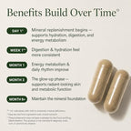 sea moss capsules for men