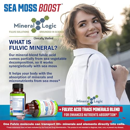 sea moss capsules for overall wellness