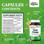 sea moss capsules for wellness