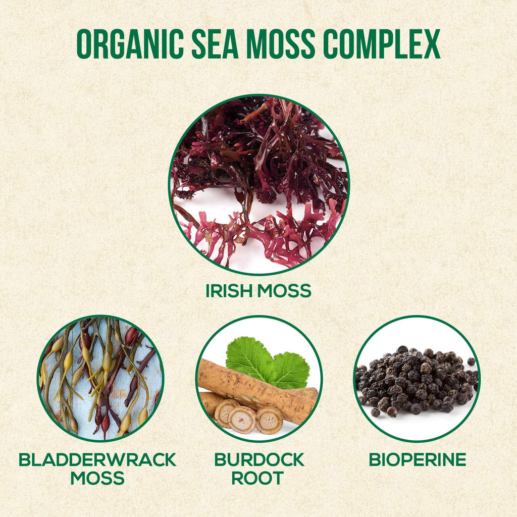 sea moss capsules with BioPerine