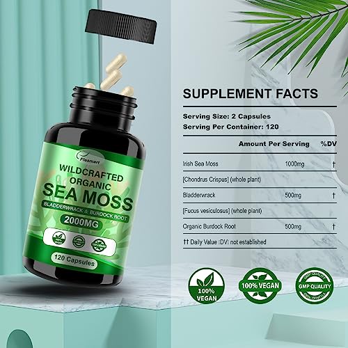 sea moss capsules with bladderwrack