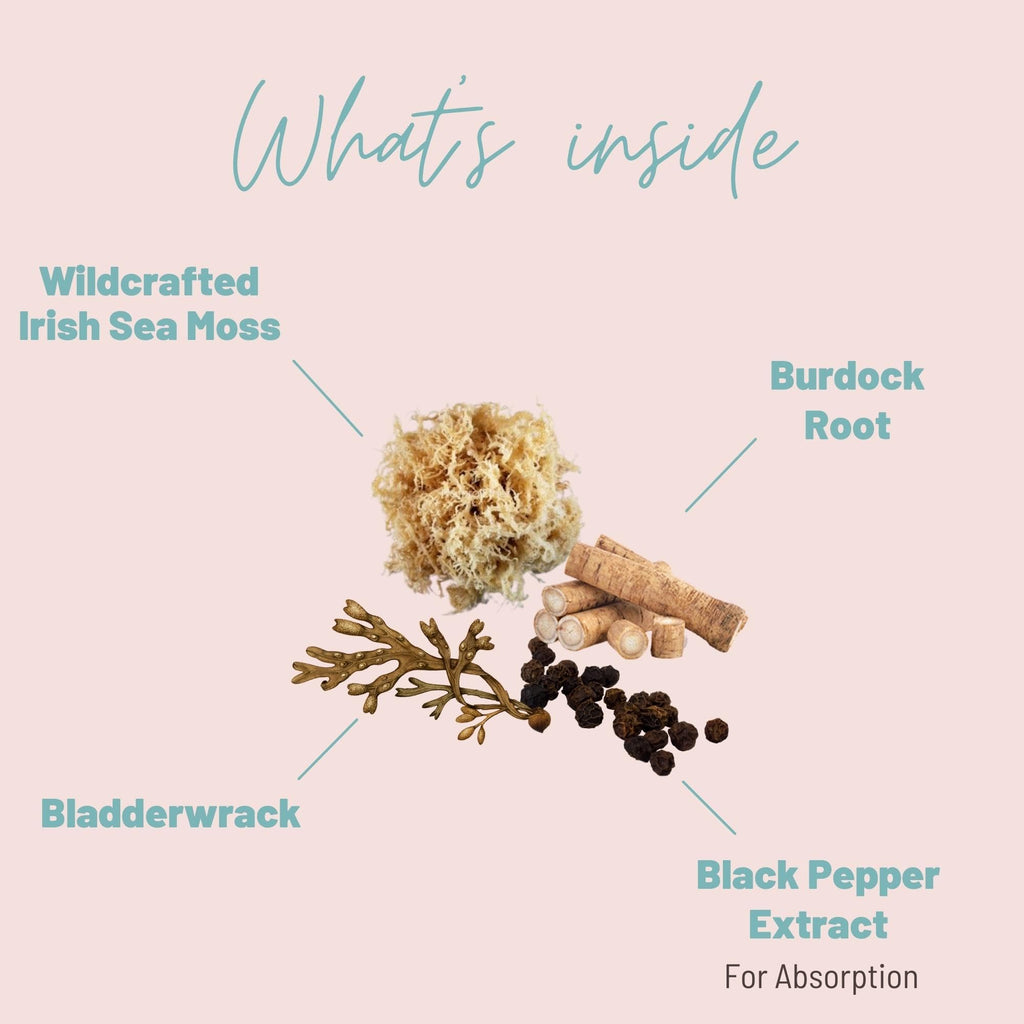 sea moss capsules with burdock root benefits