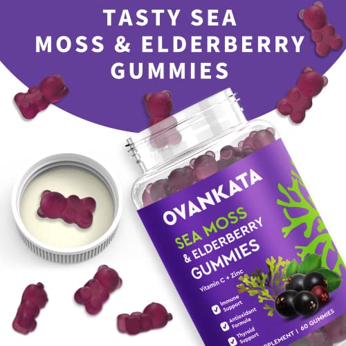 Sea Moss elderberry gummy benefits