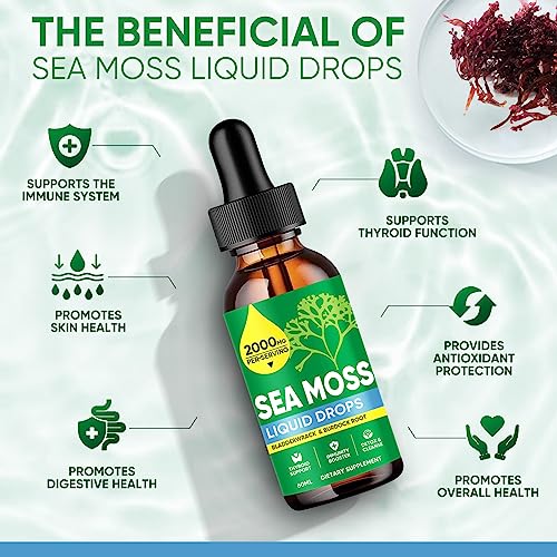 sea moss extract for overall health