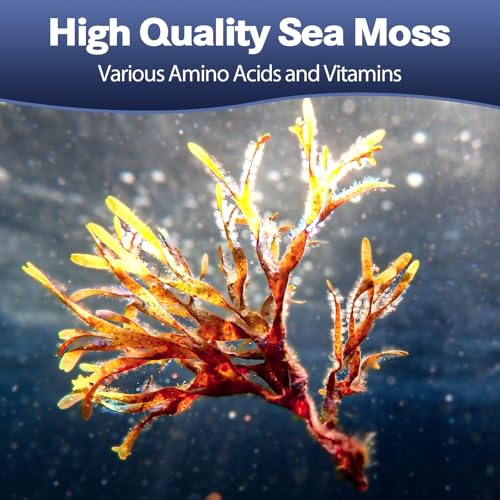 sea moss for better digestion
