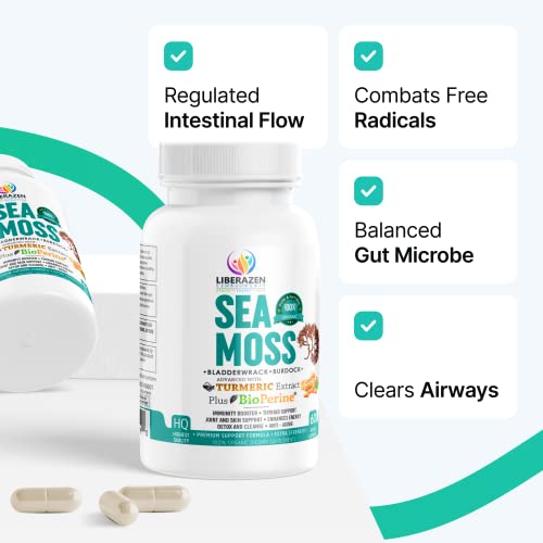 sea moss for digestive health