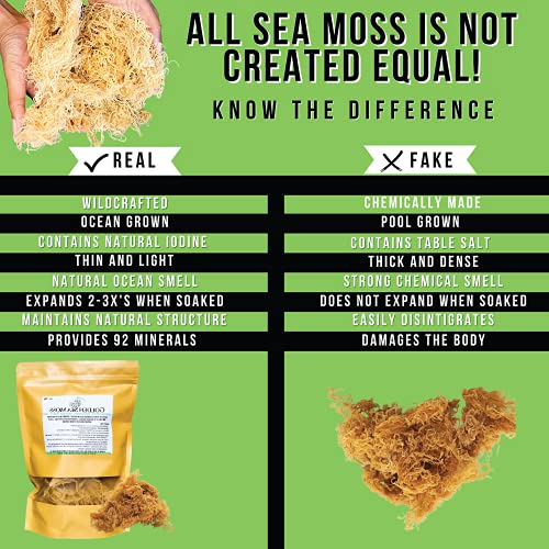 sea moss for digestive health