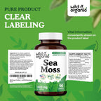 sea moss for digestive support