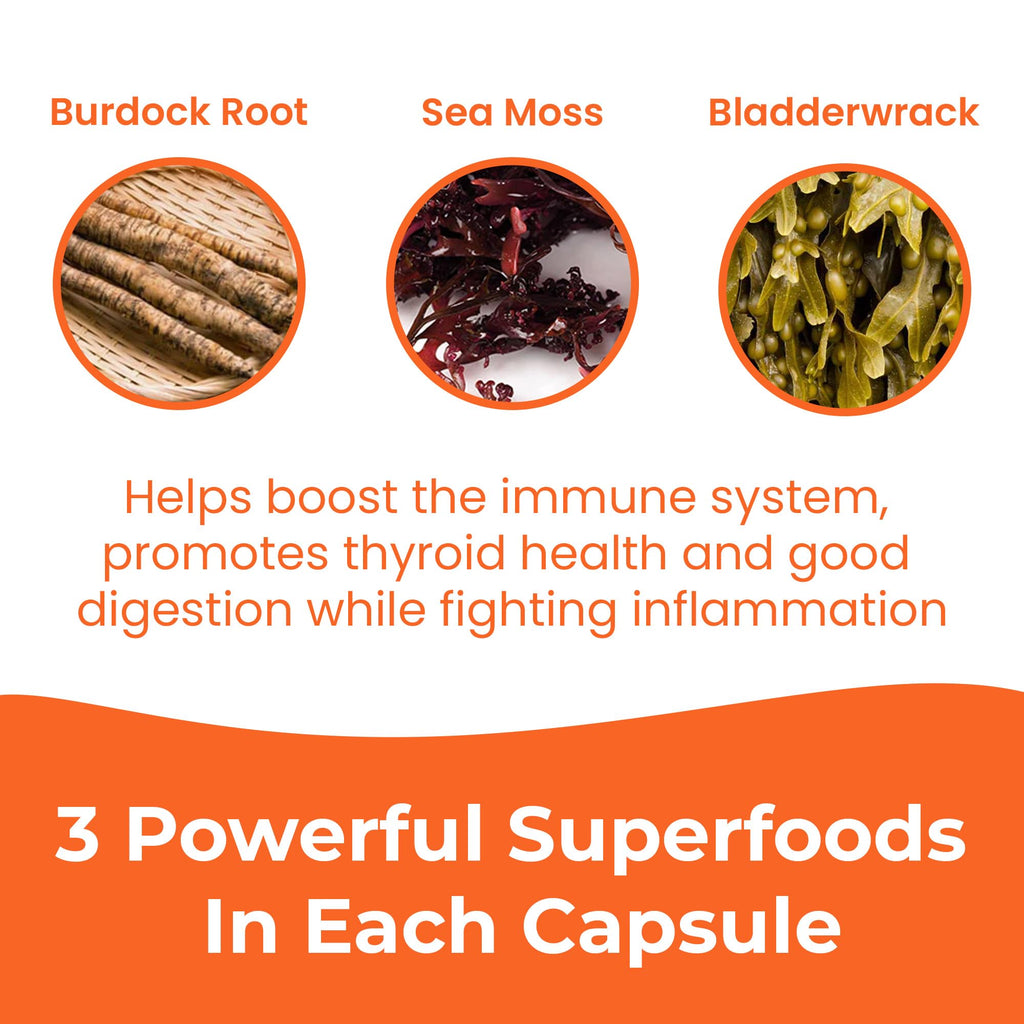 sea moss for enhanced nutrition