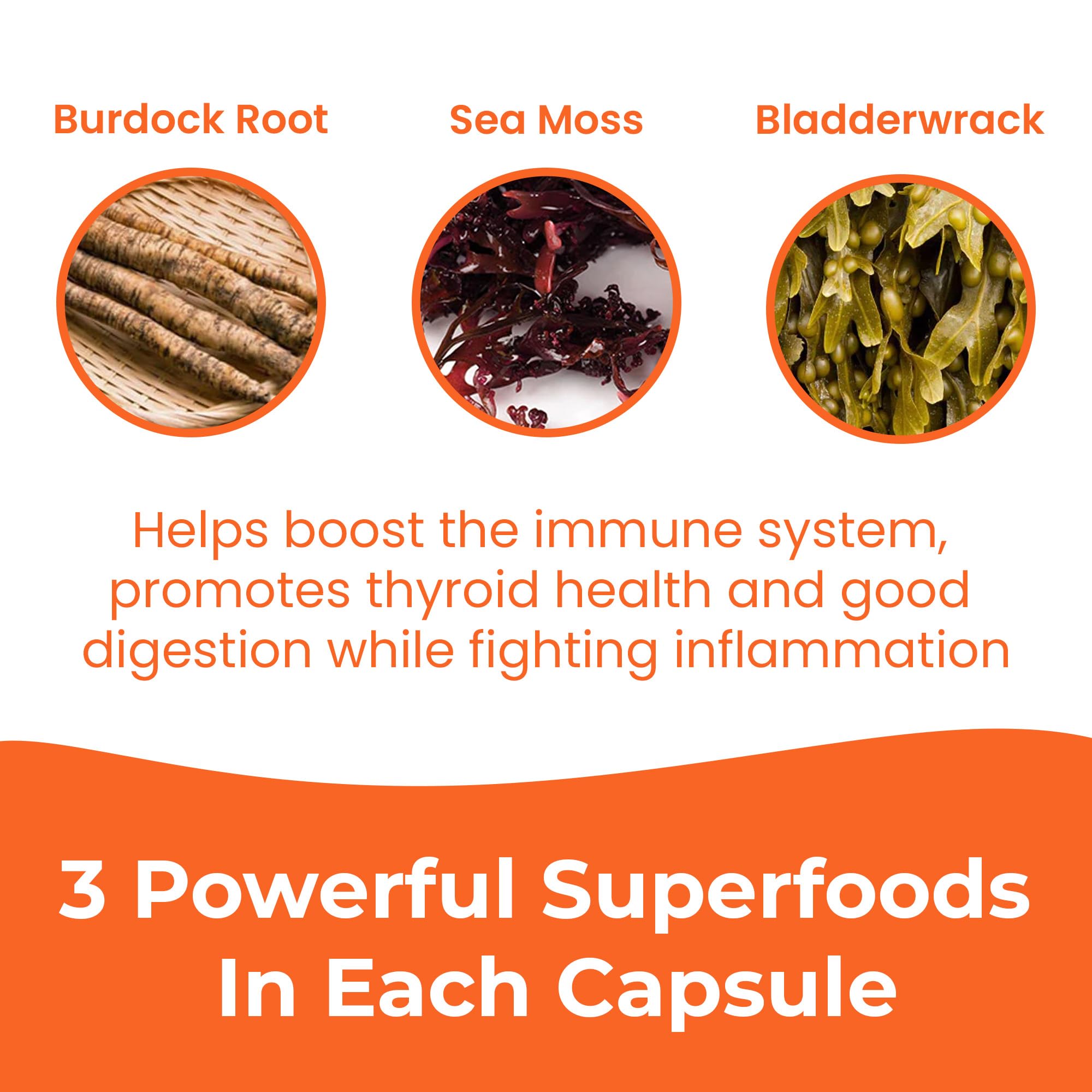 sea moss for enhanced nutrition