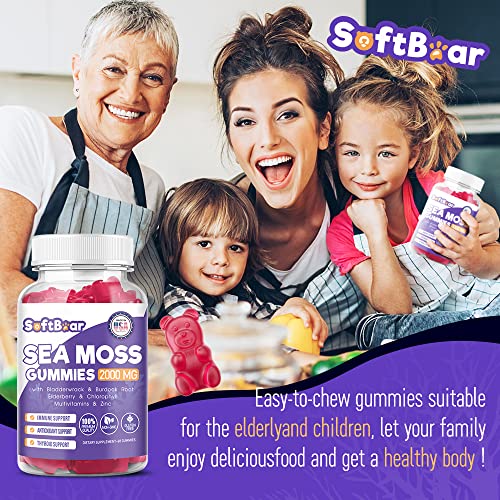 sea moss for enhanced nutritional support