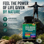 Sea moss for immune support