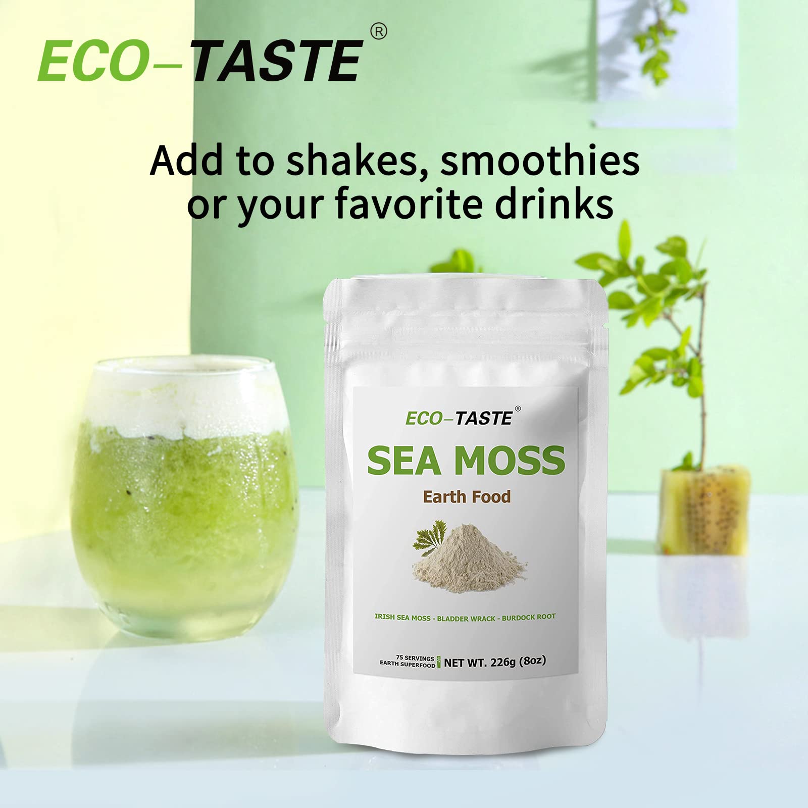 sea moss for immune support