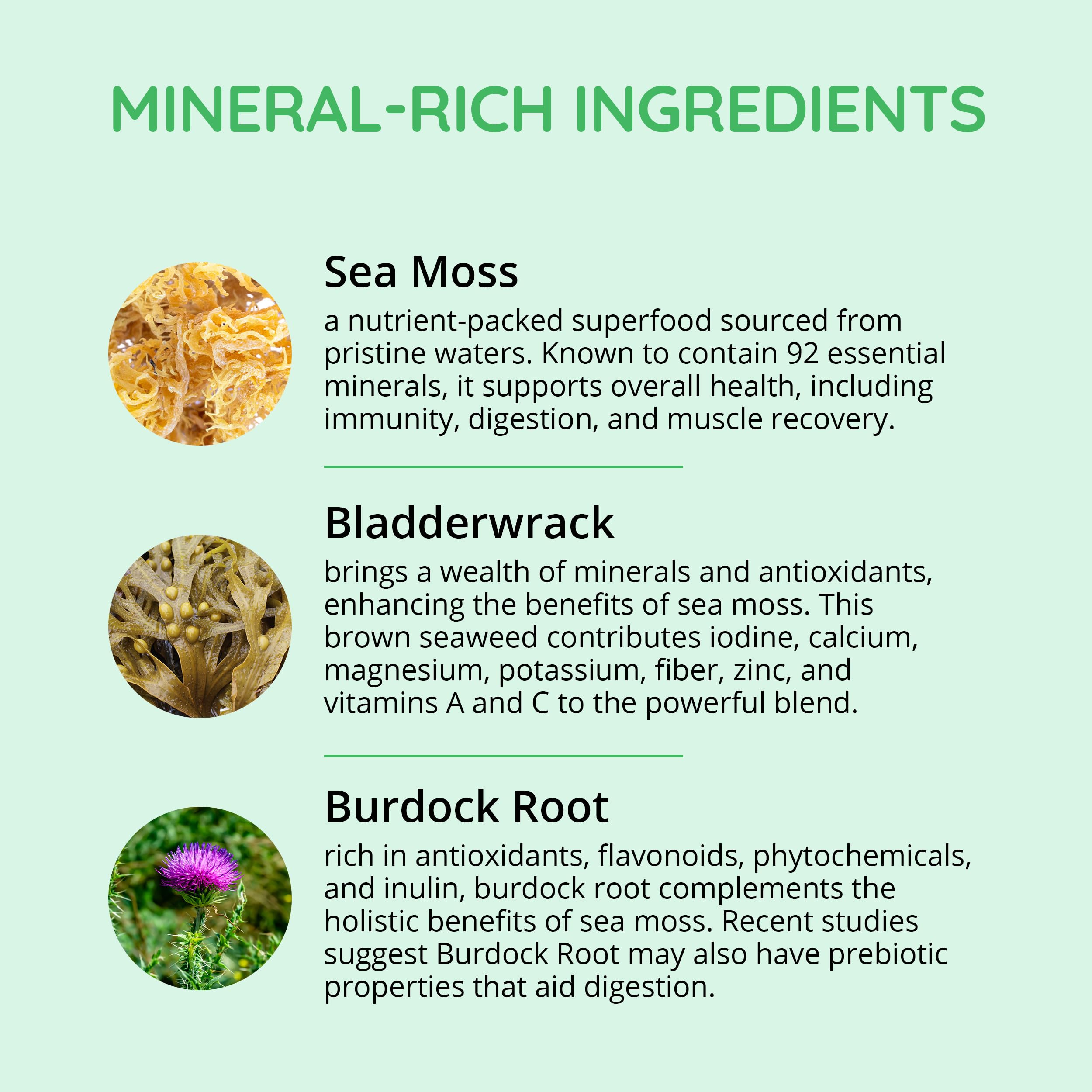 sea moss for immunity support