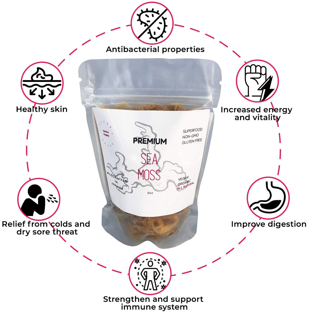sea moss for improved nutrition