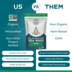 sea moss for natural wellness