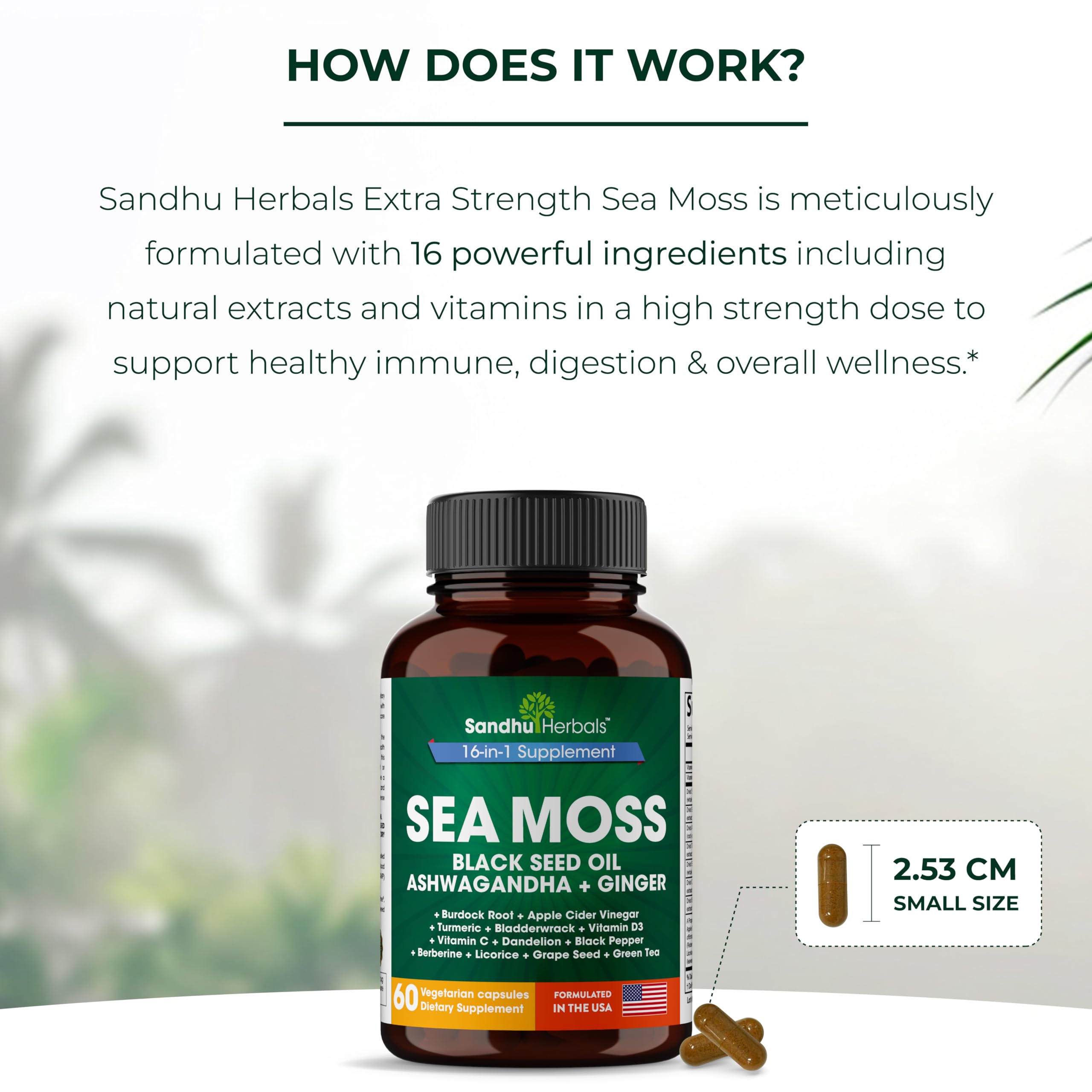 sea moss for overall wellness