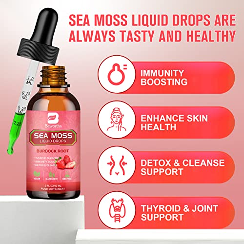 sea moss for overall wellness