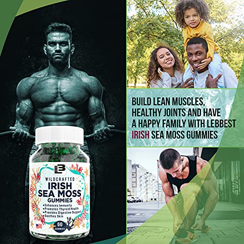 sea moss for overall wellness
