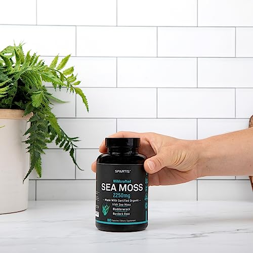 sea moss gel alternative capsules