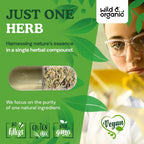 sea moss gel alternative capsules