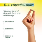 sea moss gel alternative capsules