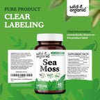 sea moss gel alternative capsules