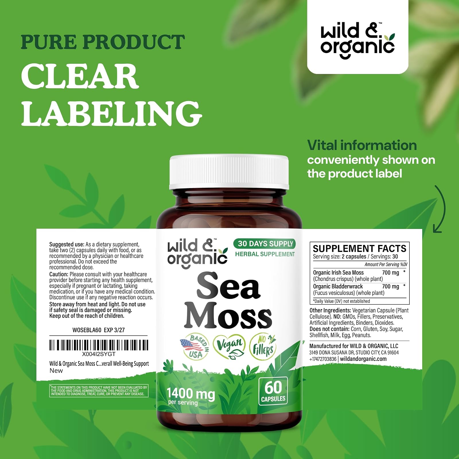 sea moss gel alternative capsules
