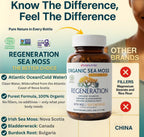 sea moss gel alternative in capsules