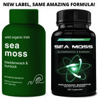 sea moss gel alternative in capsules