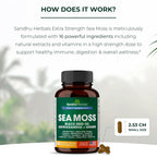 sea moss gel alternative in capsules