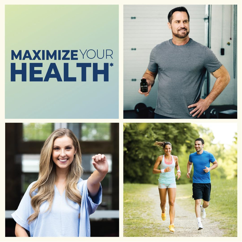 sea moss gel alternative in capsules
