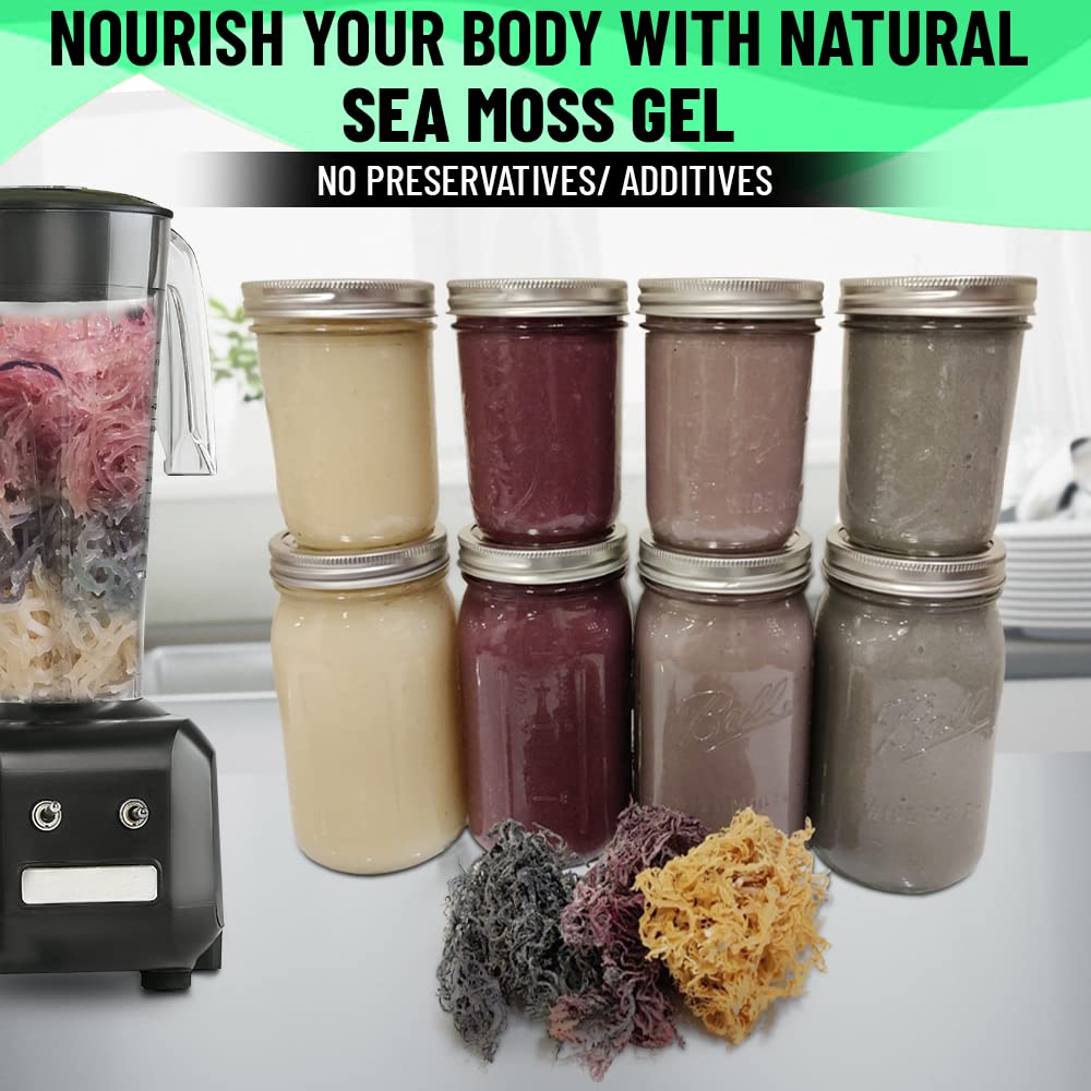 sea moss gel for daily energy