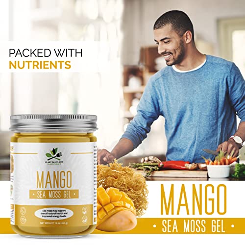 sea moss gel for daily nutrition