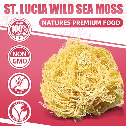 sea moss gel for daily nutrition