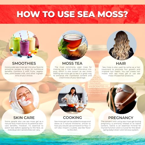 sea moss gel for daily vitamins