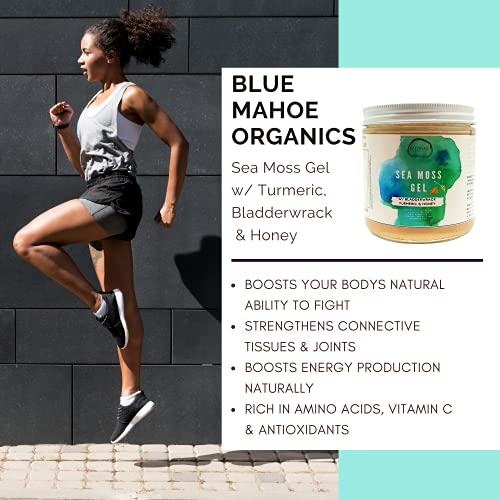 sea moss gel for digestive health