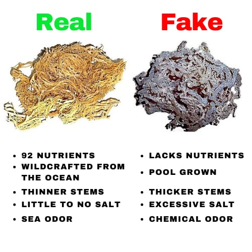 sea moss gel for healthy lifestyle