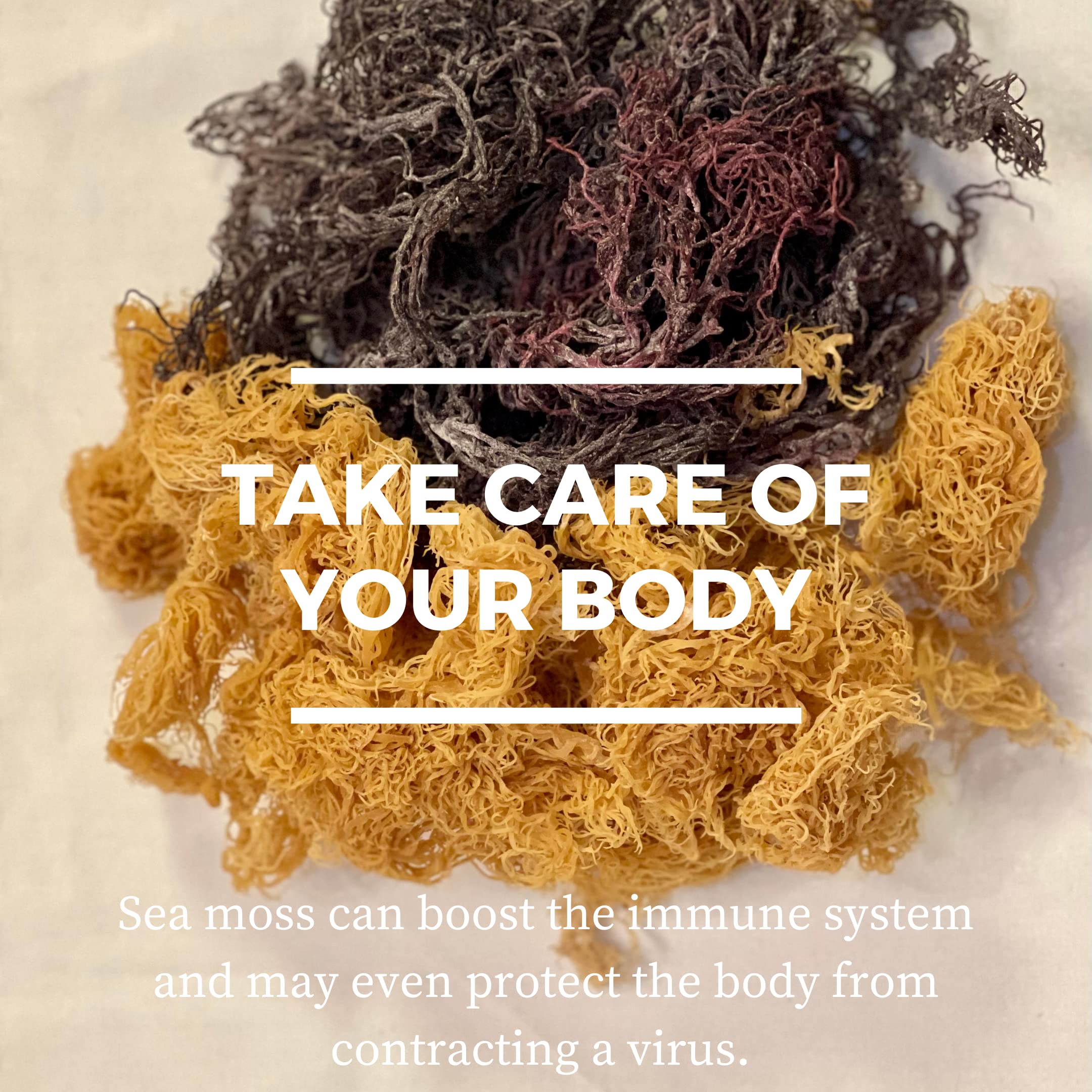 sea moss gel for holistic health